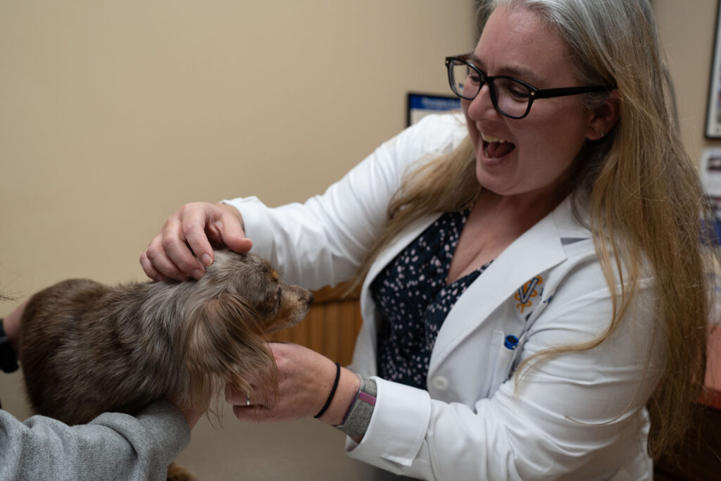 Animal Medical Center: Compassionate & Lifelong Pet Care