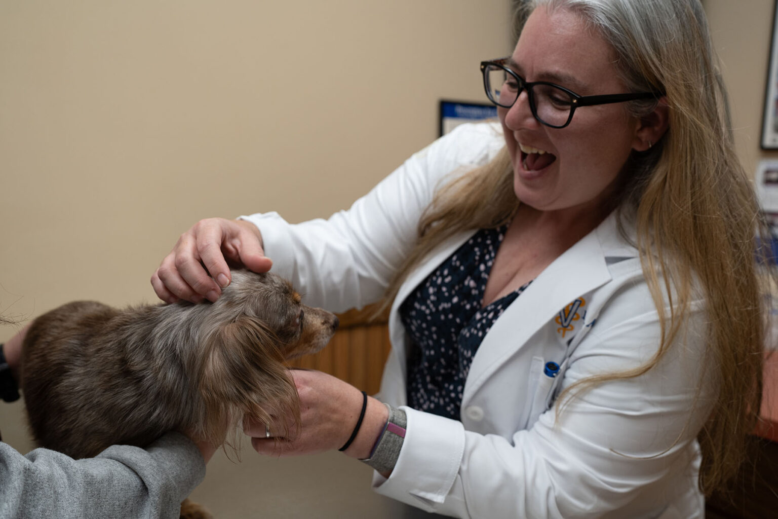 Animal Medical Center: Compassionate & Lifelong Pet Care